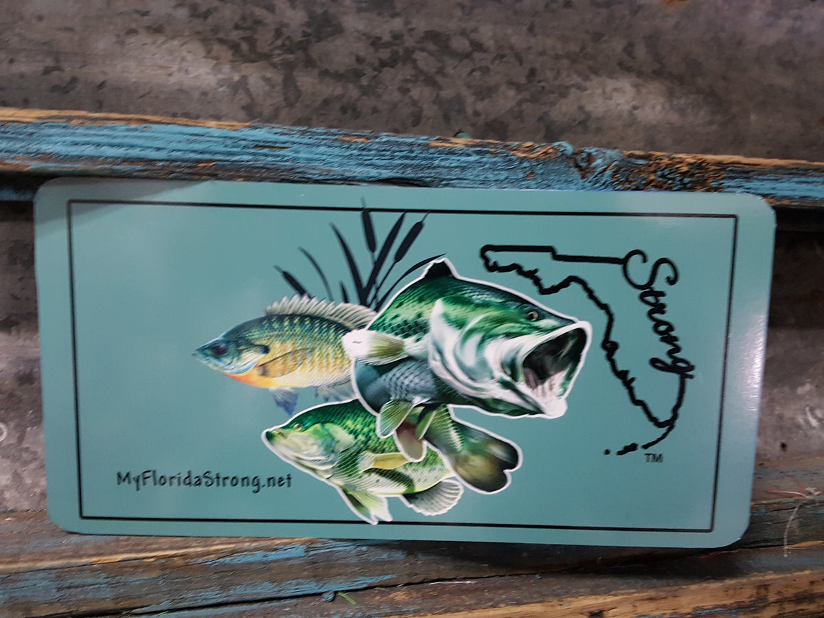 Florida Strong License Plates – Custom Graphics, Home of Florida Strong